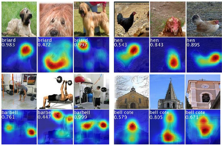 Learning Deep Features for Discriminative Localization - Home